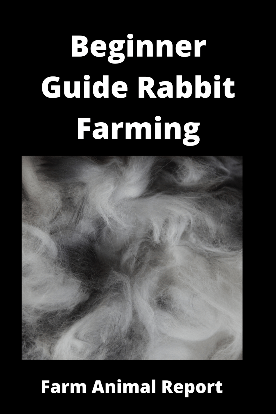 Beginner Guide Rabbit Farming For Fur