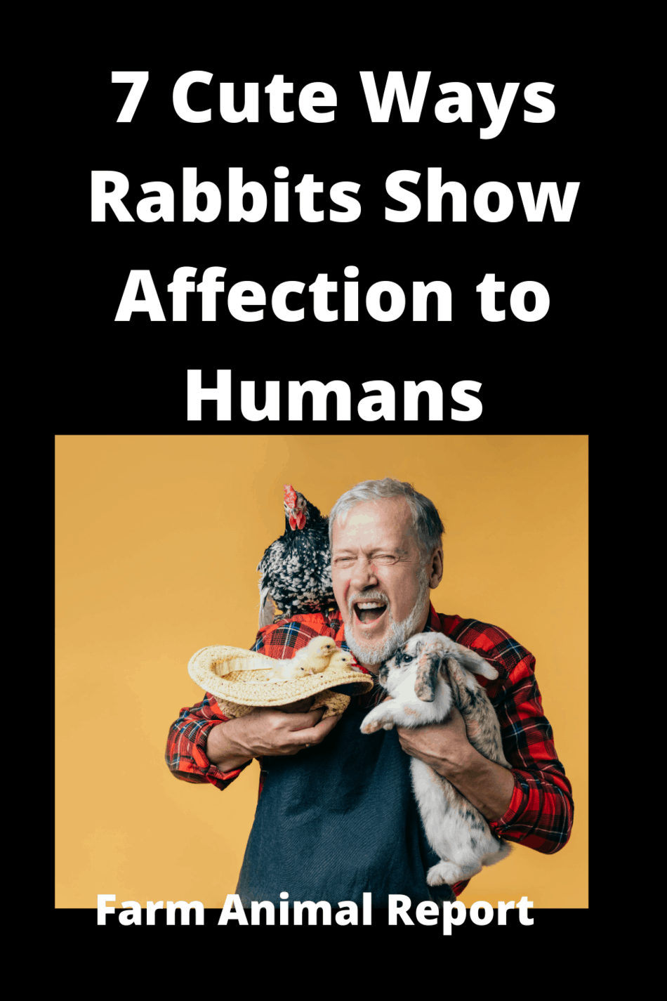 7 Cute Ways: How Do Rabbits Show Affection To Humans **KISS**