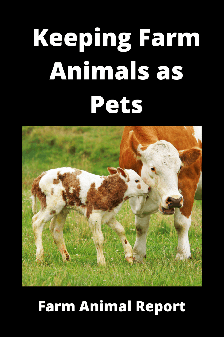 Keeping Farm Animals As Pets