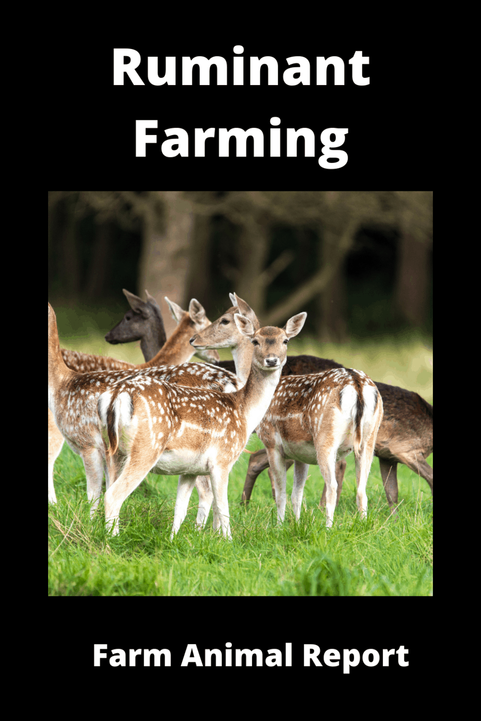 13 Types Ruminant Farming