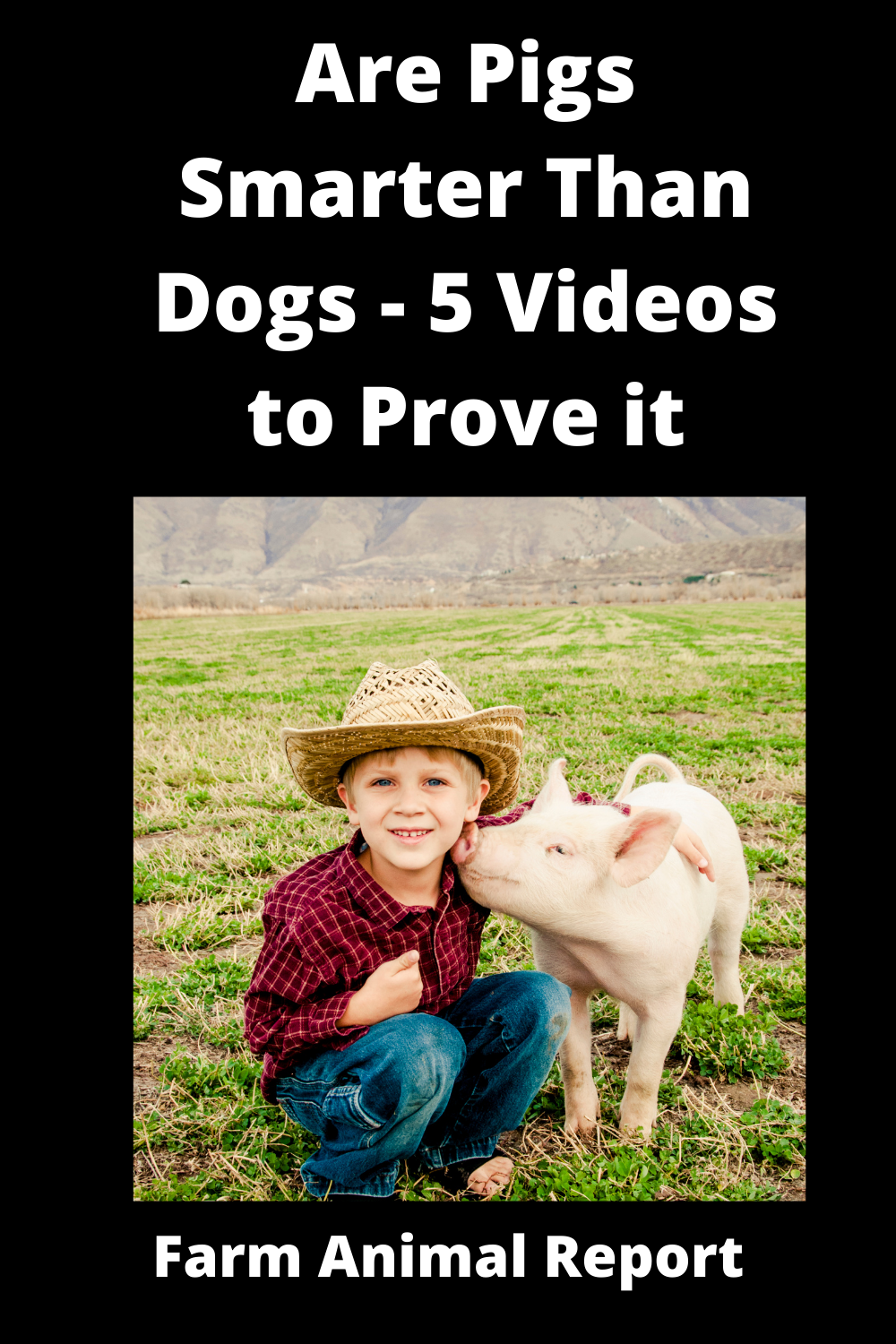 Are Pigs Smarter Than Dogs - 5 Videos To Prove It