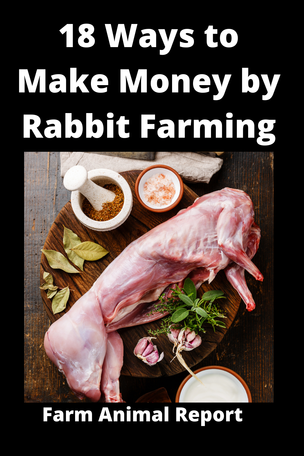 17 Ways: How Does Rabbit Farming Make Money | Rabbits | Profit | Raise ...