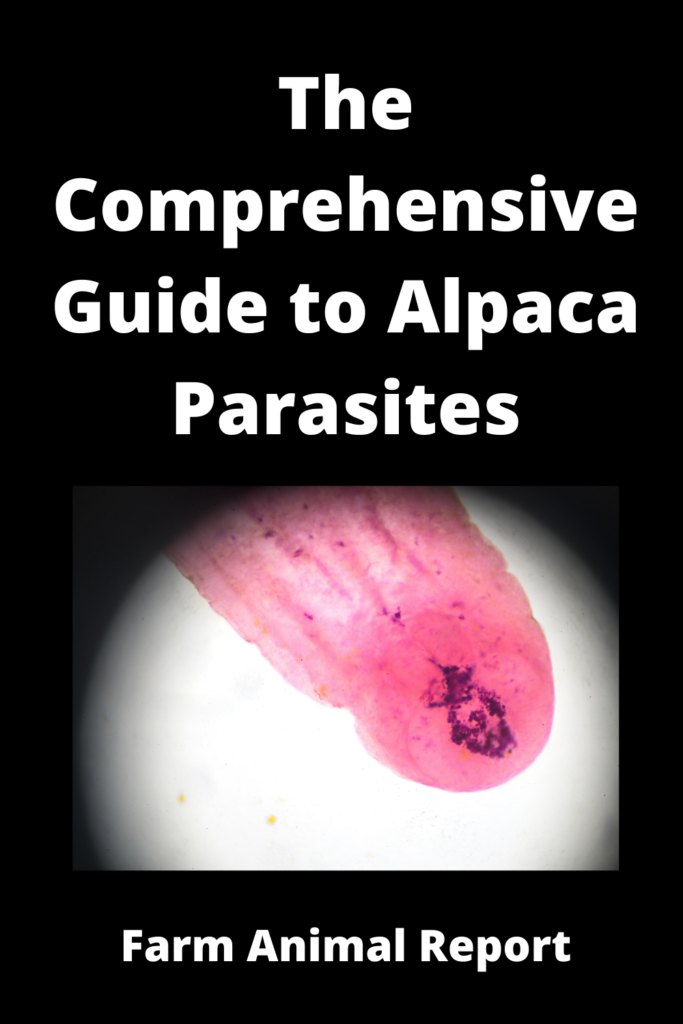 The Comprehensive Guide To Alpaca Parasites **WORMS**