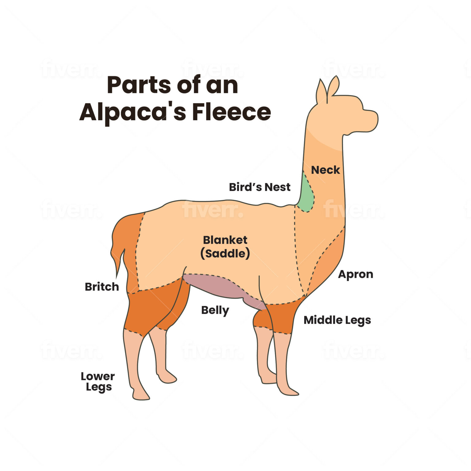The Ultimate Guide To Alpaca Fiber **WOOL**