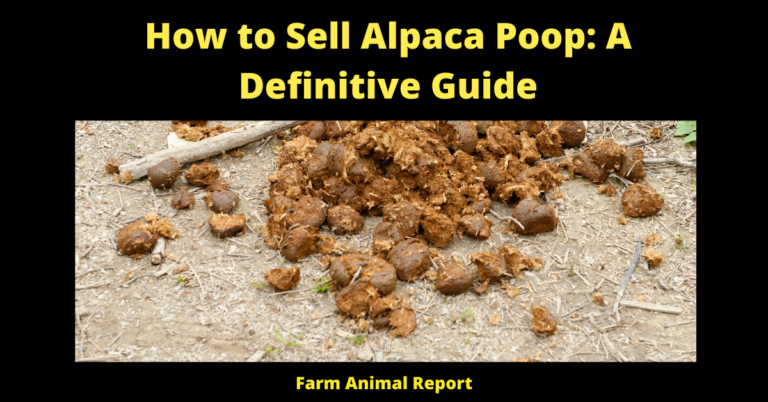How To Sell Alpaca Poop: **BLACK GOLD ** 2024