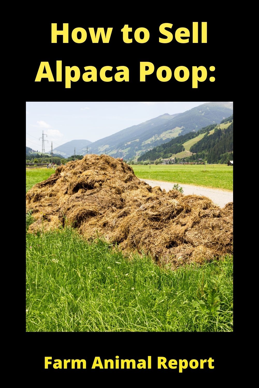 How To Sell Alpaca Poop: **BLACK GOLD ** 2024