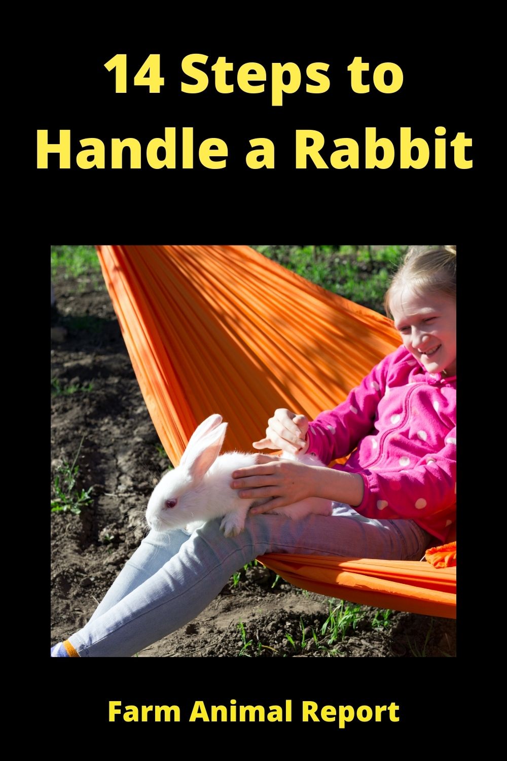 13 Steps To Handle A Rabbit **GENTILE**