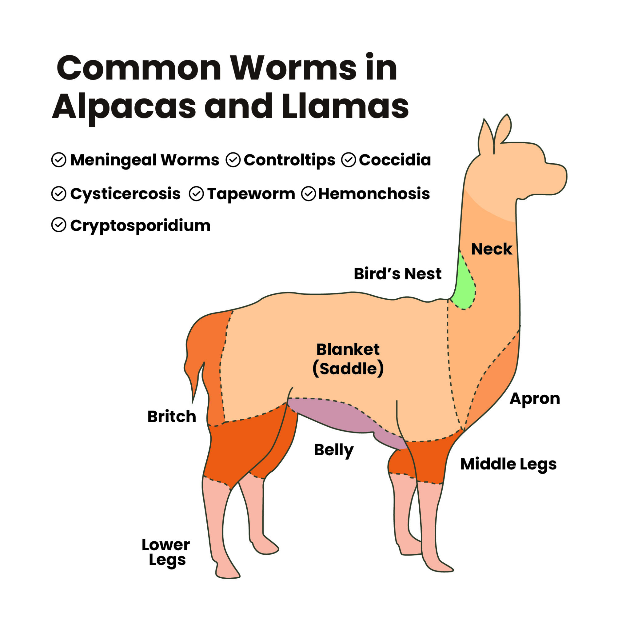 Llama Healthy Or Sick **TEMPERATURE**