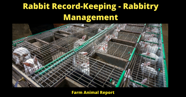 Rabbitry Management-Record Keeping