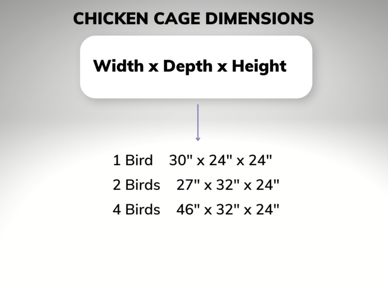Family size Chicken Farm – *How Many Eggs Do I Need* – Farm Animal Report